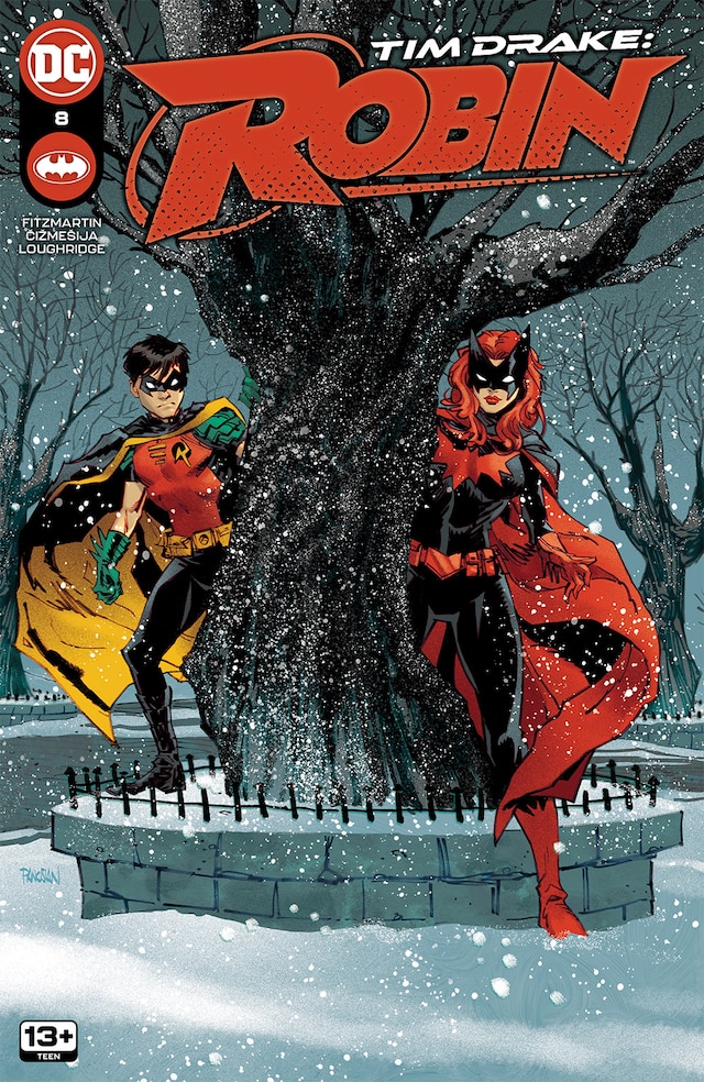 TIM DRAKE: ROBIN #4 | DC