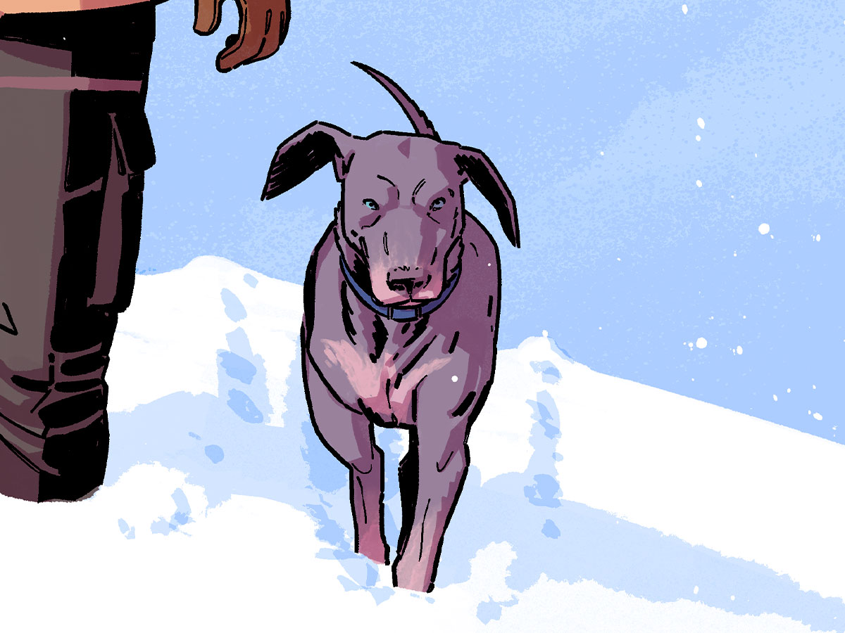 “Fallen Grayson” Begins in Nightwing #114! | DC