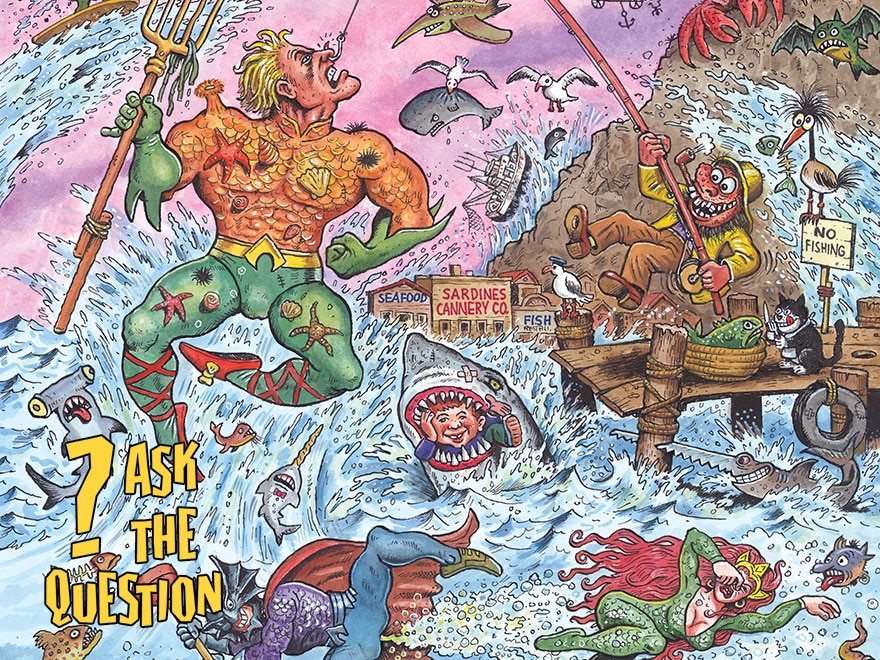 ASK...THE QUESTION: Has MAD Magazine Ever Crossed Over Into the DCU? | DC