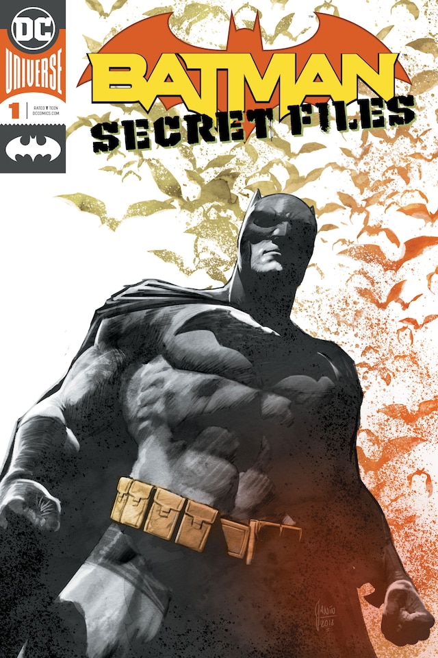 BATMAN SECRET FILES #1 | DC