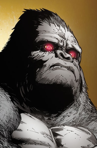 Gorilla Grodd | Official DC Character