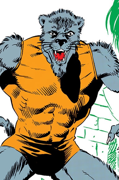 Amanda Waller | Official DC Character