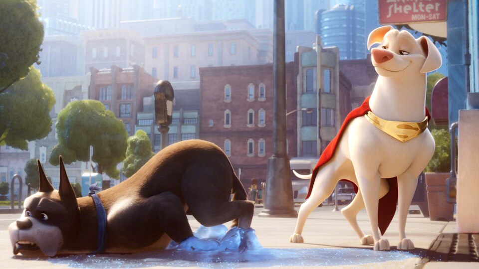 DC League of Super-Pets (2022) | DC