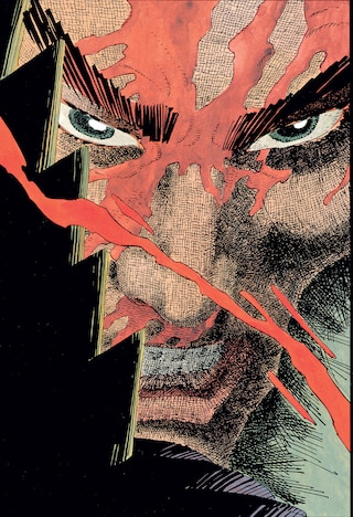 RONIN DELUXE EDITION | DC