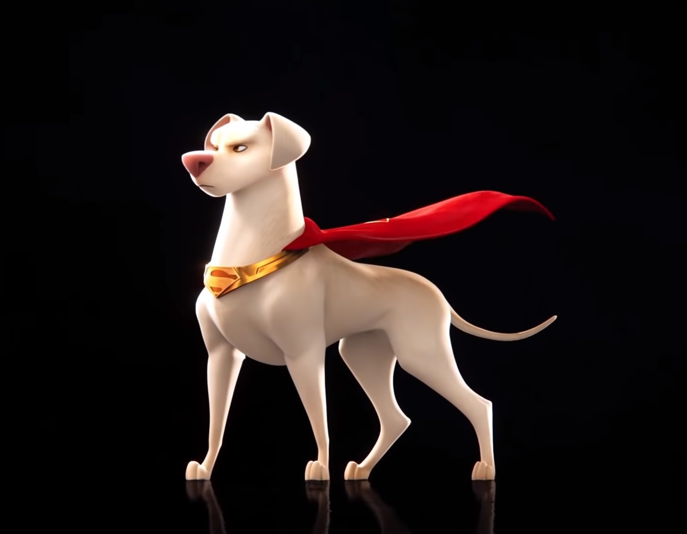 Dwayne Johnson Introduces Us to the DC League of Super-Pets | DC