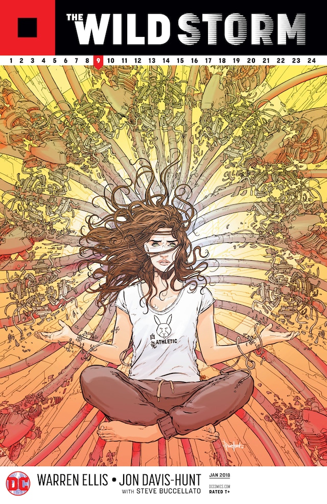 THE WILD STORM #1 | DC