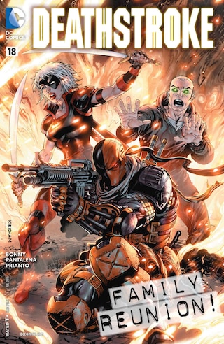 DEATHSTROKE: THE NEW 52 OMNIBUS | DC