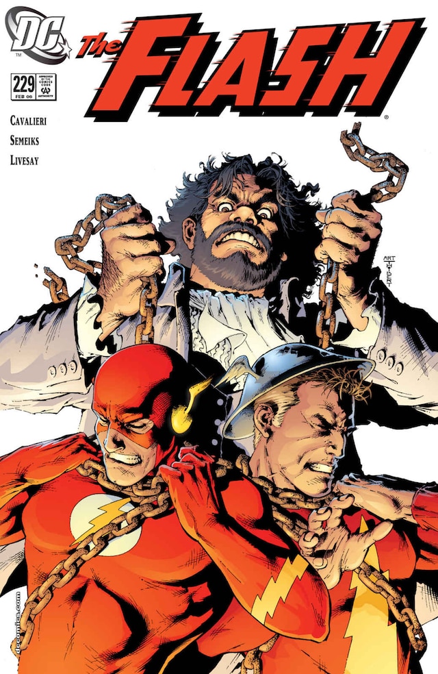 THE FLASH #221 | DC