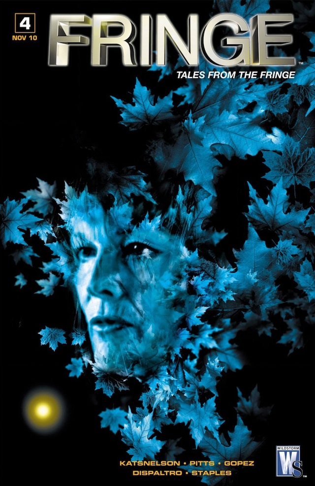 FRINGE: TALES FROM THE FRINGE #4 | DC