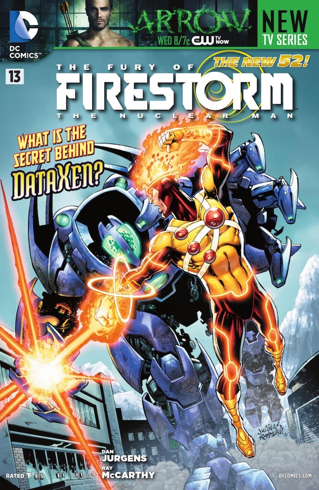 THE FURY OF FIRESTORM: THE NUCLEAR MAN #19 | DC