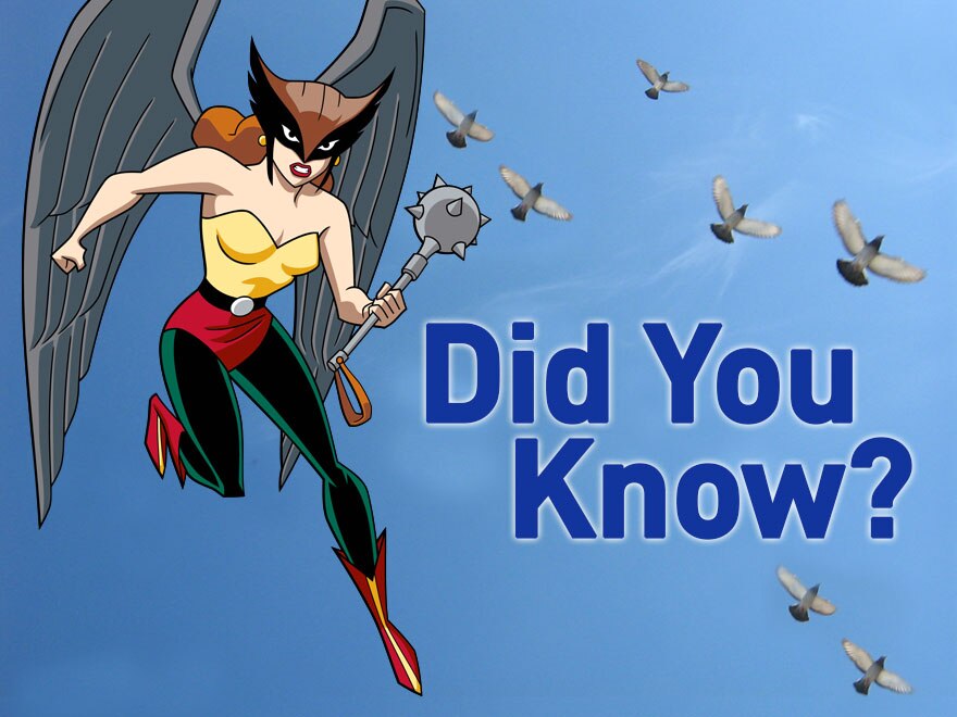 Did you know how birds fly? | DC