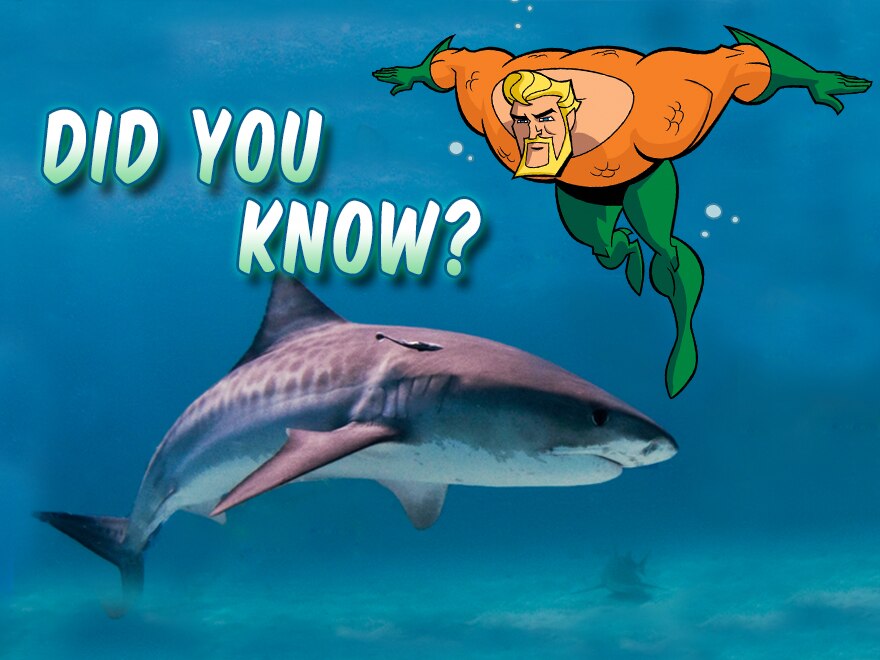 Did you know ... | DC