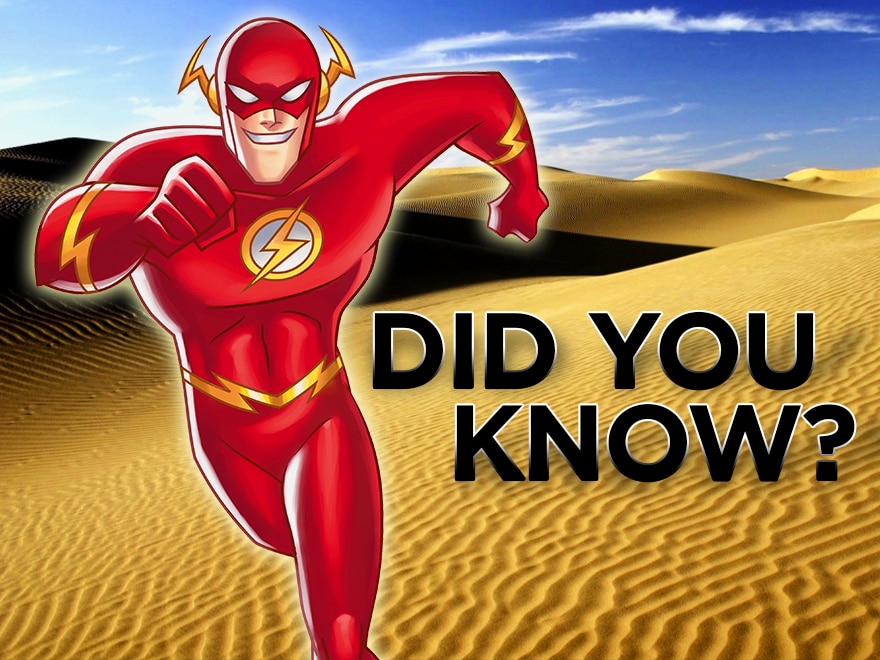 Did You Know? | DC